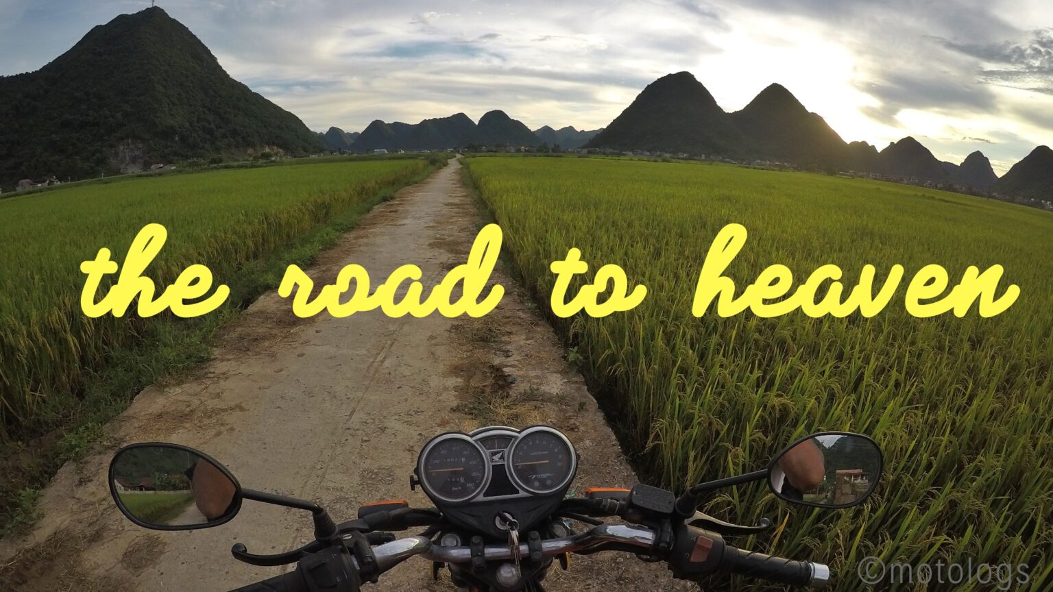 50 Custom Sticker Slogans for Bike and Road Trip